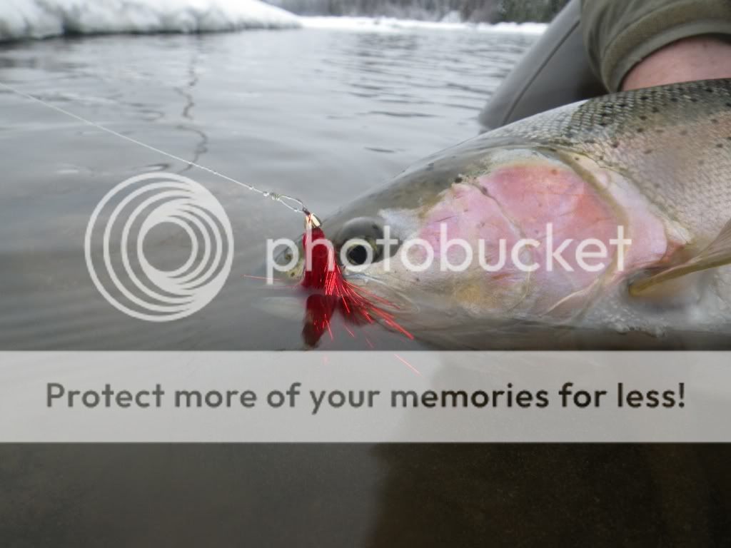 Pink worm flies | BC Fly Fishing Forums