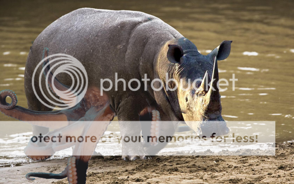 Rhino + Hippo + Octopus : r/HybridAnimals